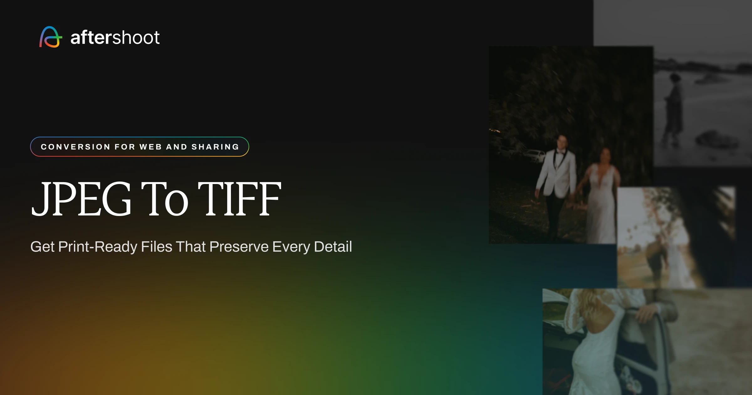 Free JPEG to TIFF Converter | Unlimited Use, No Ads